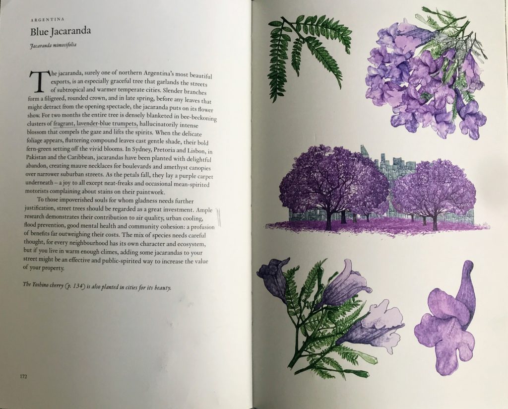 Book review: Around the World in 80 Trees by Jonathan Driori ...