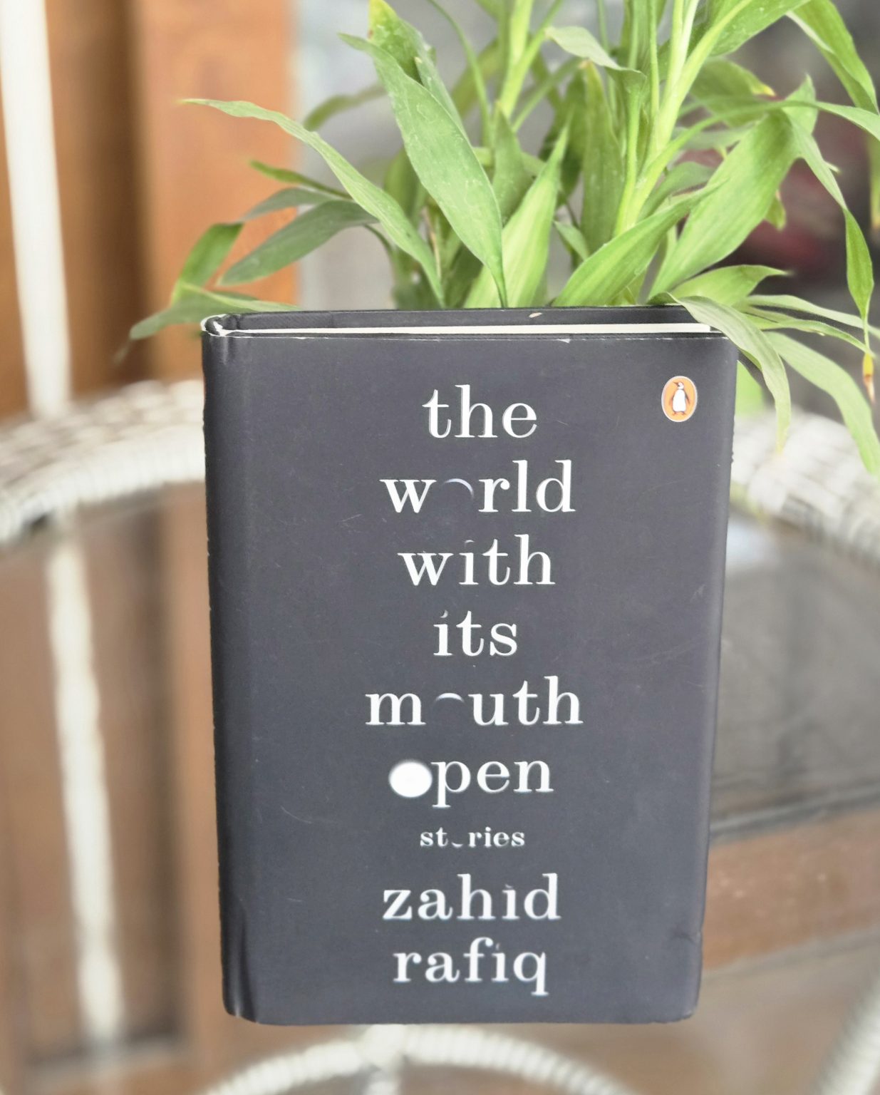 Loal, Kashmir by Mehak Jamal; The World with its Mouth Open by Zahid ...